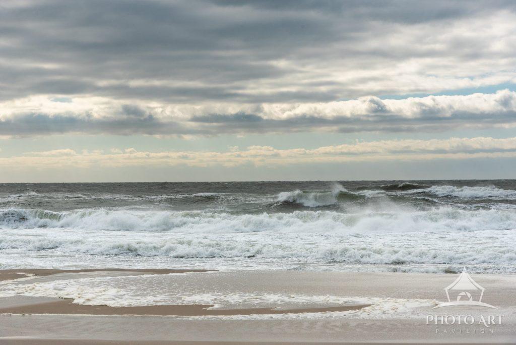 Windswept Beach Photo Art Pavilion