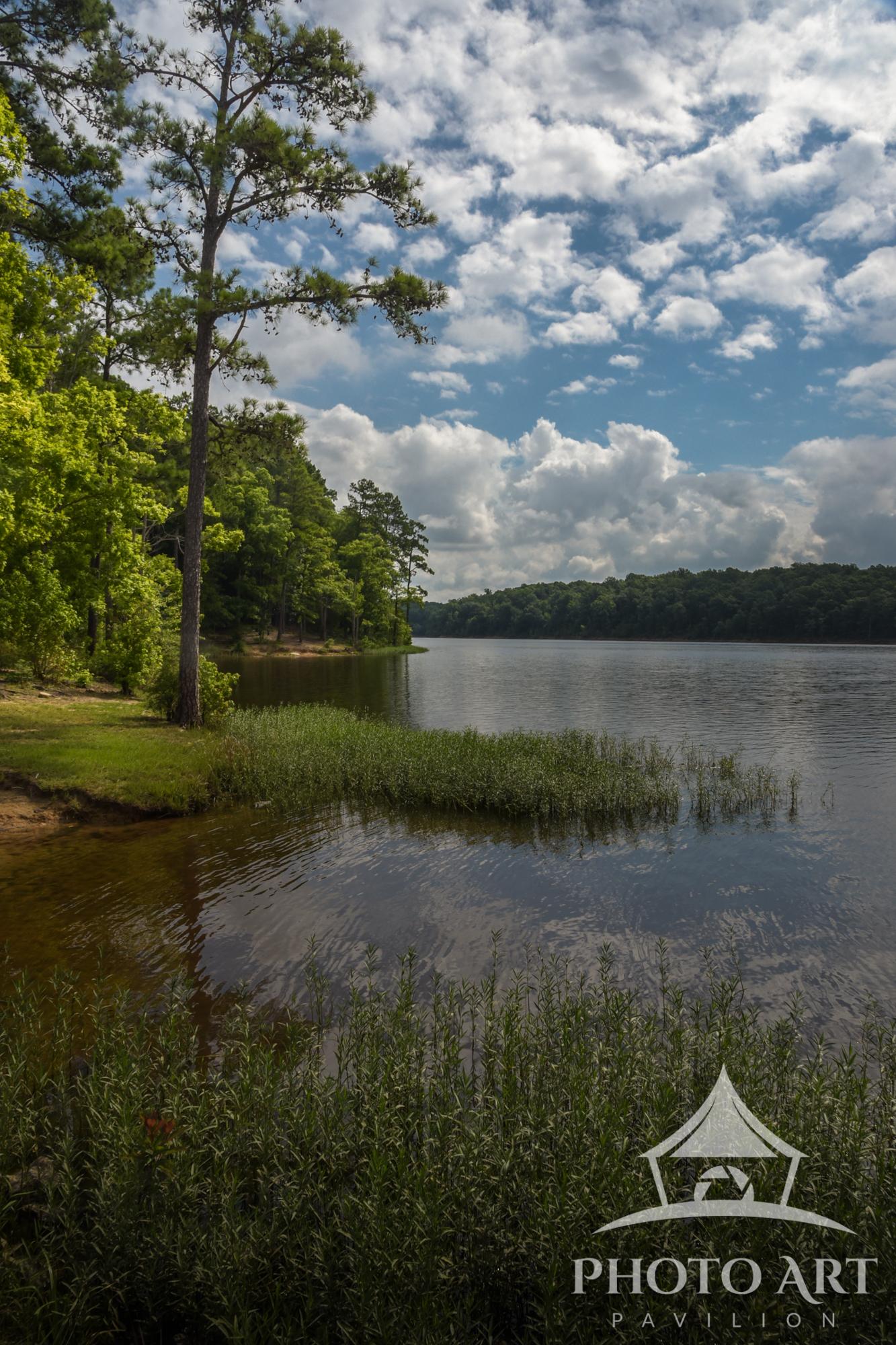 Beaver Dam Lake II Photo Art Pavilion