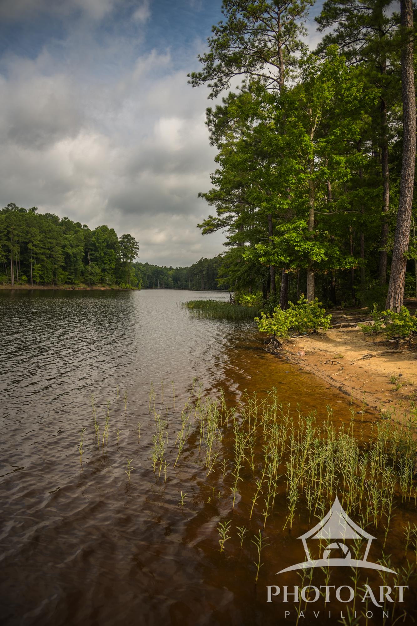 Beaver Dam Lake I Photo Art Pavilion