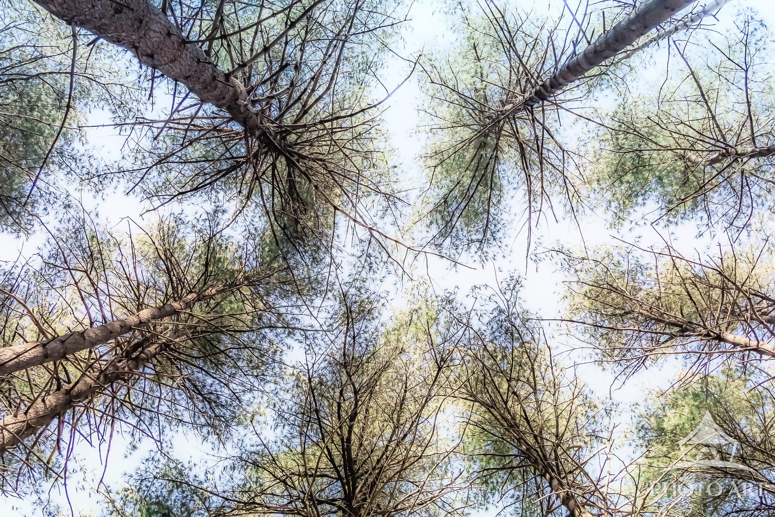 Photo Workshop | Mashomack Nature Conservancy | Shelter Island, NY