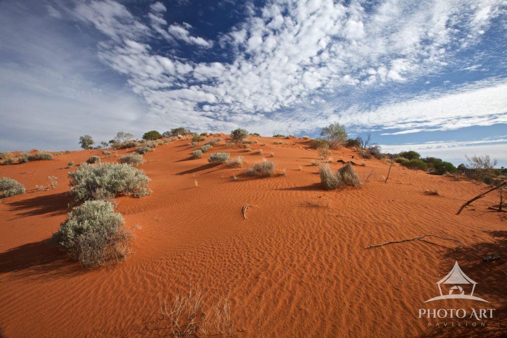 Red Center Photo Art Pavilion