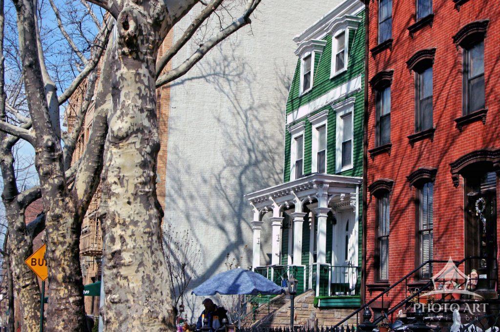 Brooklyn Scene Photo Art Pavilion