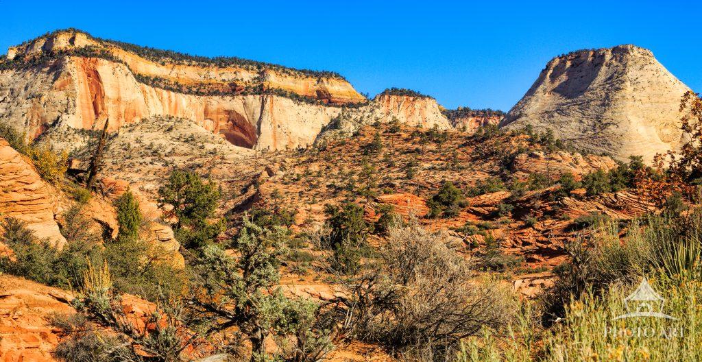 Zion Panorama Photo Art Pavilion
