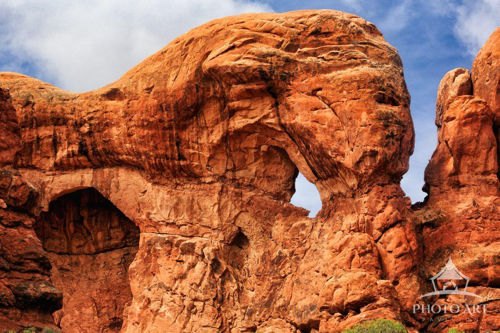 Elephant Arch II Photo Art Pavilion