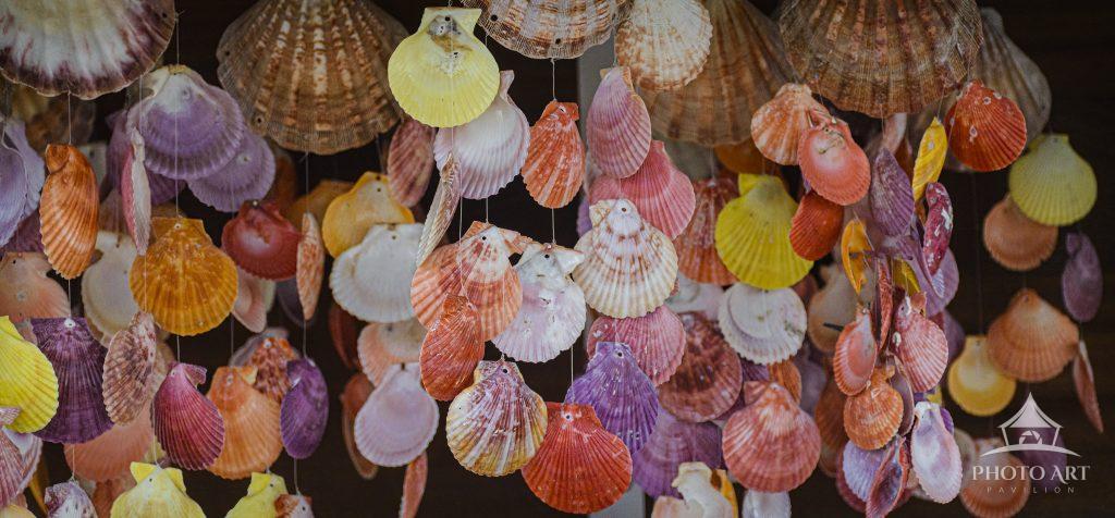 Bunch Of Seashells Photo Art Pavilion
