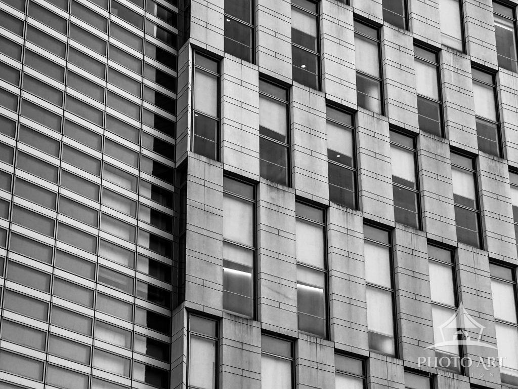 Blue windows B&W - Photo Art Pavilion