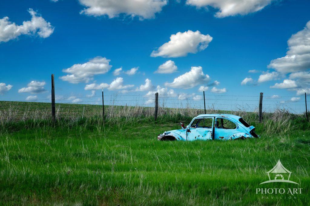 Lost Bug - Photo Art Pavilion