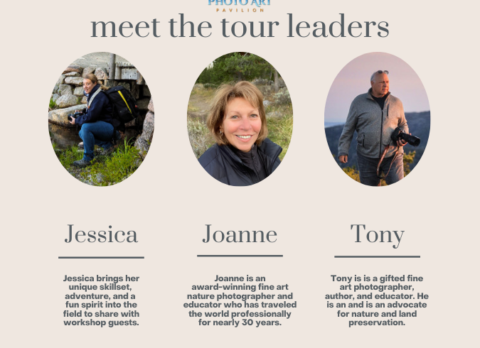 Photo Tours | Photography Workshops | Photo Art Pavilion