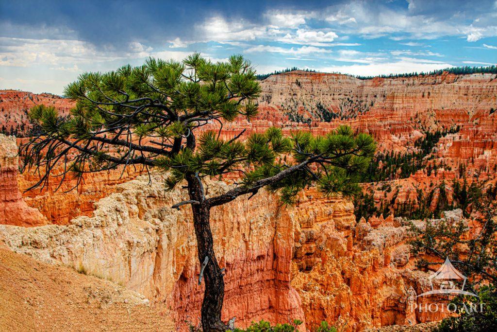 Pure Beauty (Bryce Canyon) Photo Art Pavilion