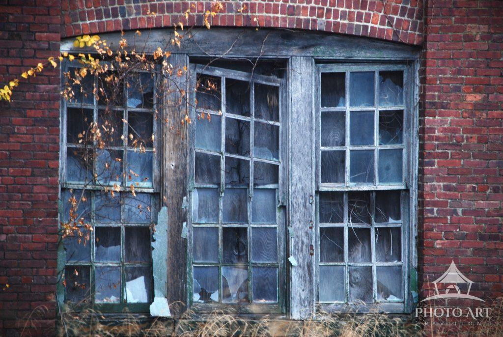 Warped - Photo Art Pavilion