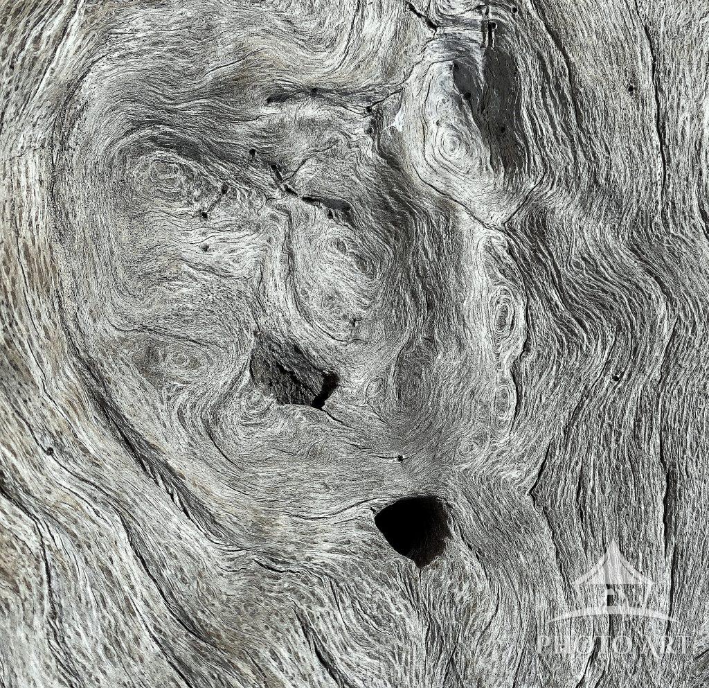 Hidden Masks - Photo Art Pavilion