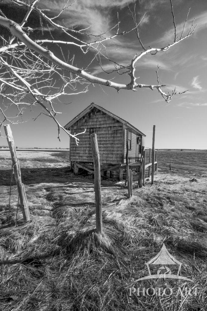 Old Fishing Shack Photo Art Pavilion