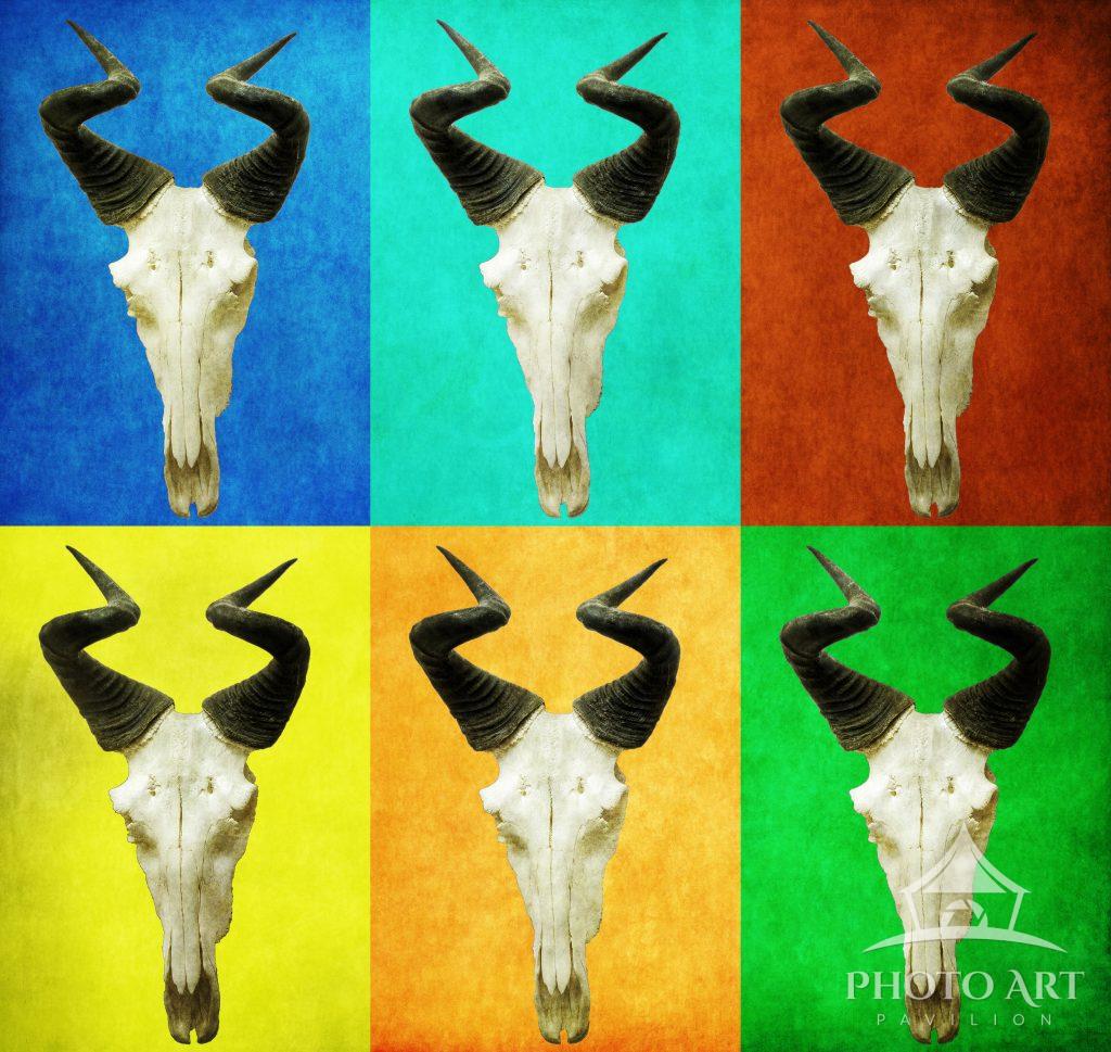 Photo Art Pavilion | Affordable PhotoArt Prints | Free Ship