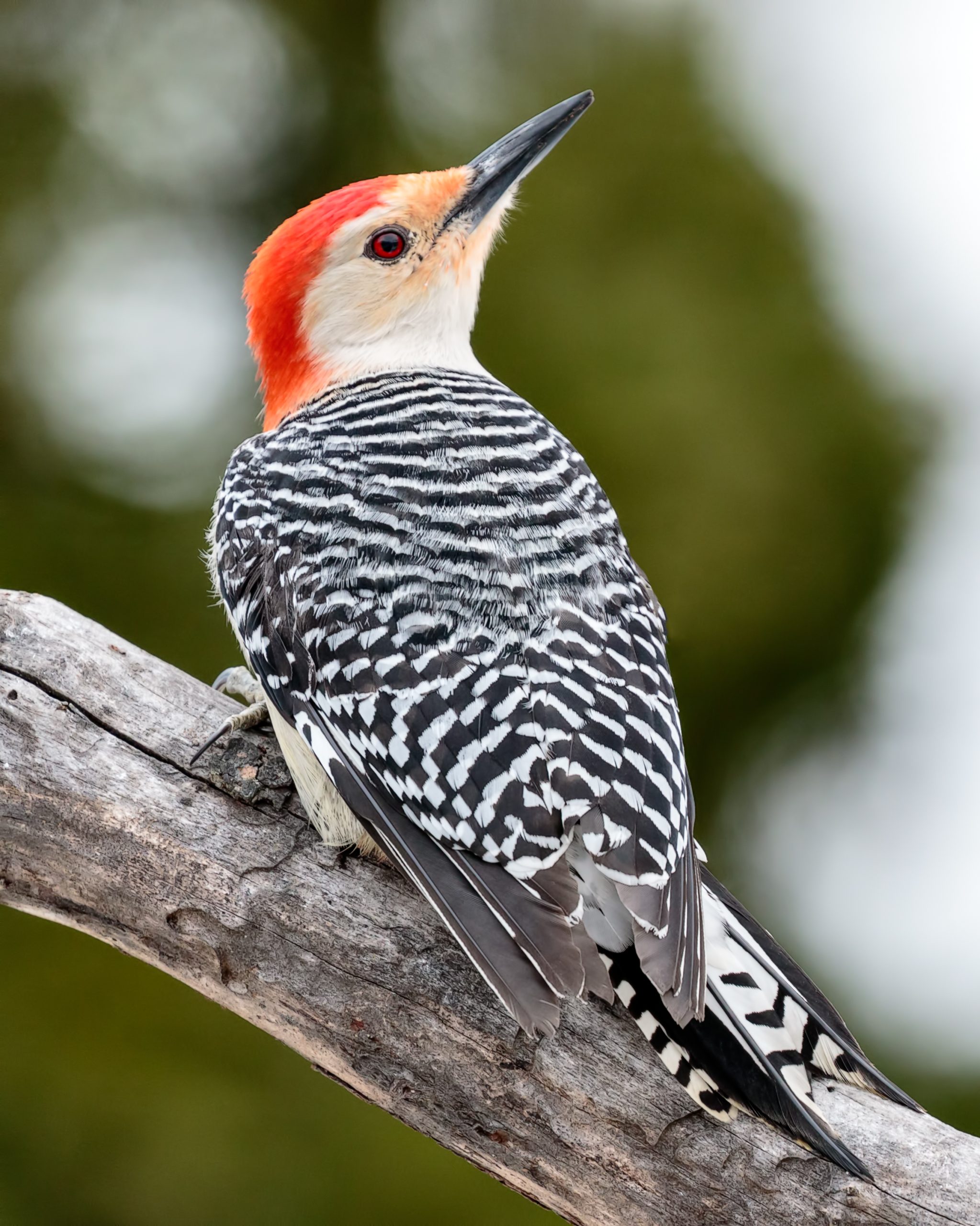 Buy Art Prints | Art Print Sales and Wall Decor - Photo Art Pavilion