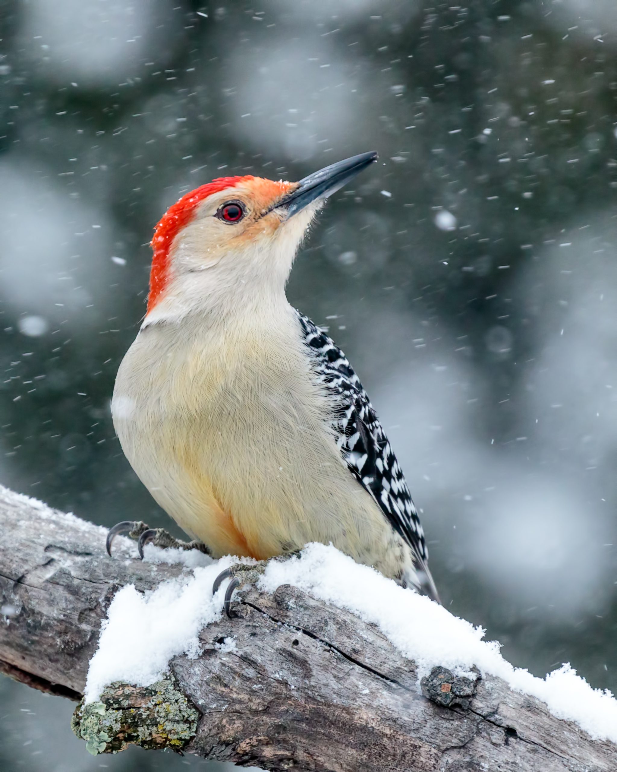 Photo Art Pavilion | Affordable PhotoArt Prints | Free Ship