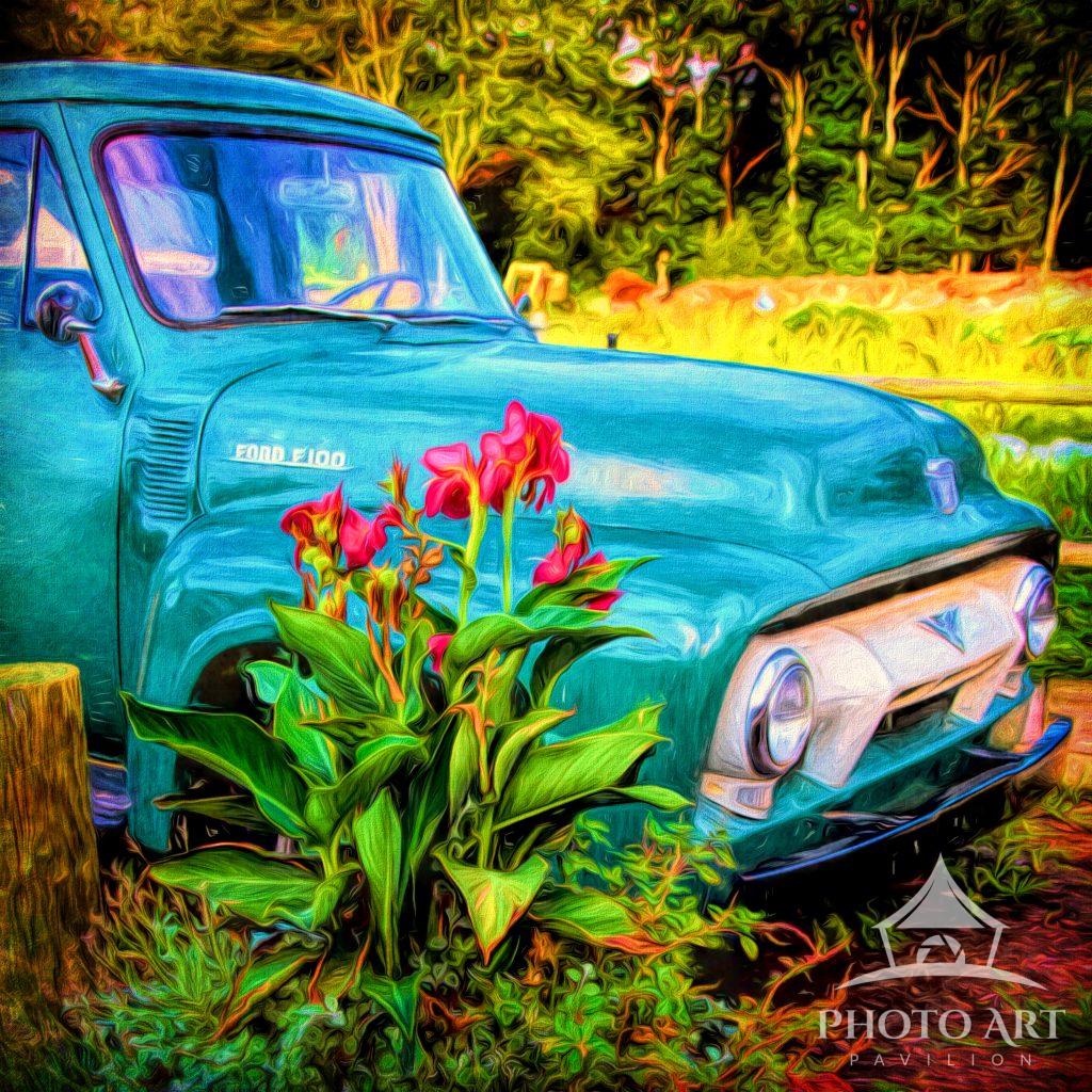 Out to Pasture Photo Art Pavilion