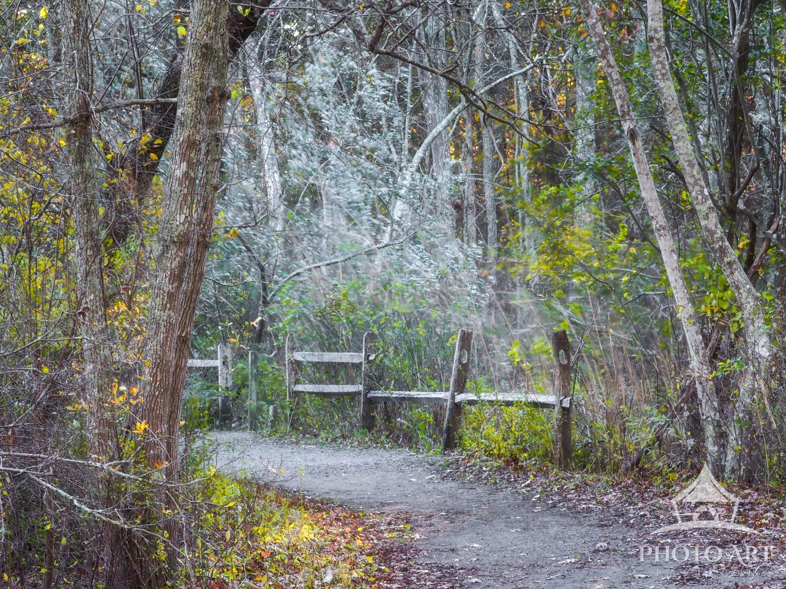 iPhone Landscape Photography Workshop