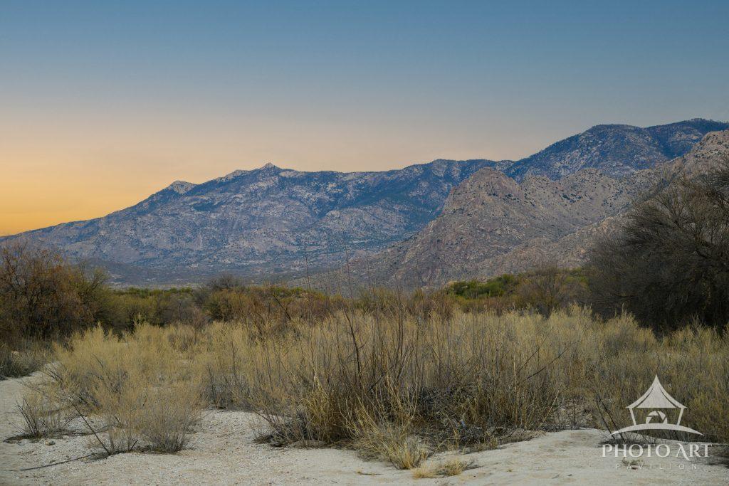 Eternal Arid Beauty Photo Art Pavilion