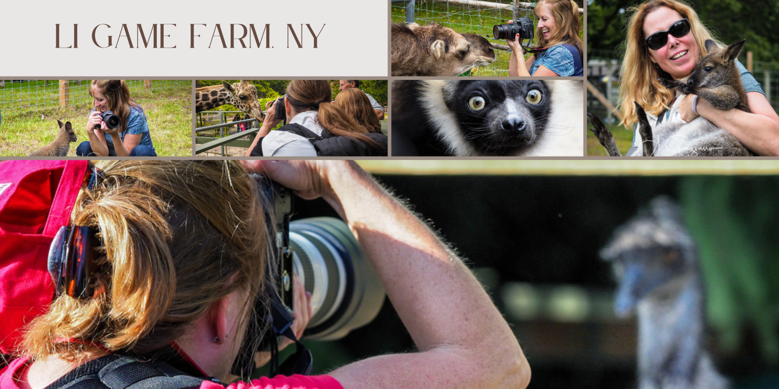 2024 Close Encounters Private Tour and Charity Photo Shoot - Photo Art ...