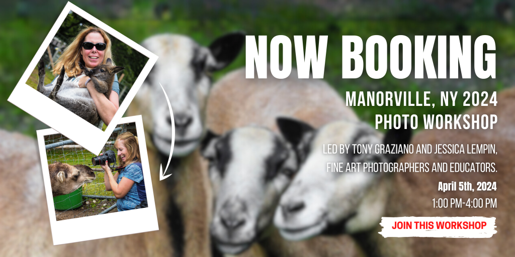 2024 Close Encounters Private Tour and Charity Photo Shoot - Photo Art ...