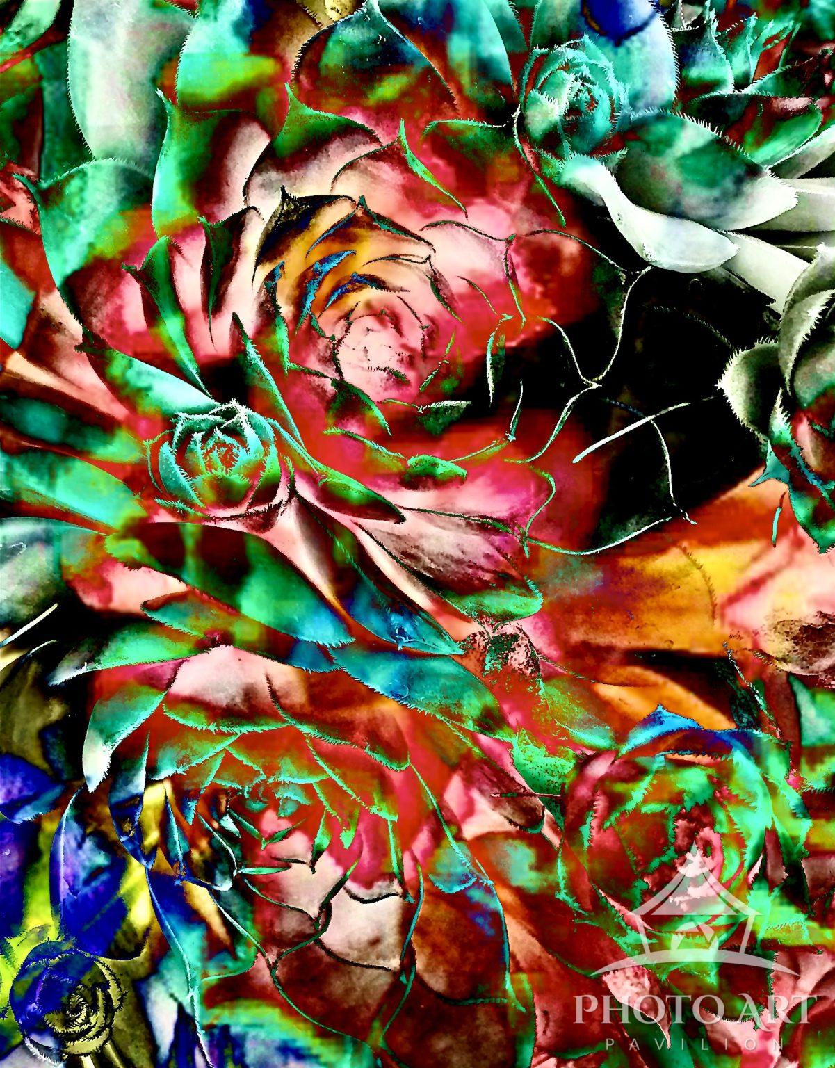 Photo Art Pavilion | Affordable PhotoArt Prints | Free Ship