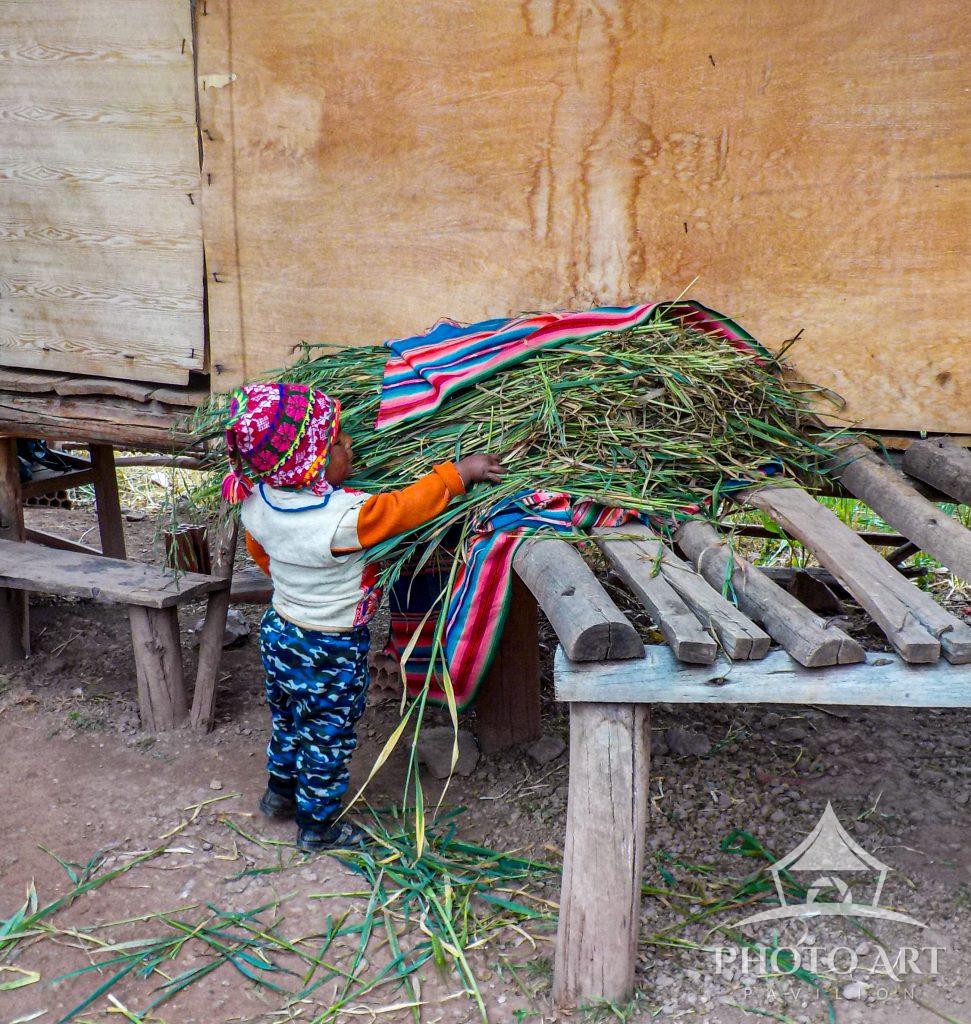 Peruvian Boy Photo Art Pavilion