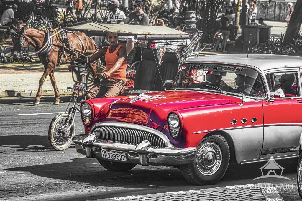 Harmonious Transit: Machine, Muscle, Mane Photo Art Pavilion