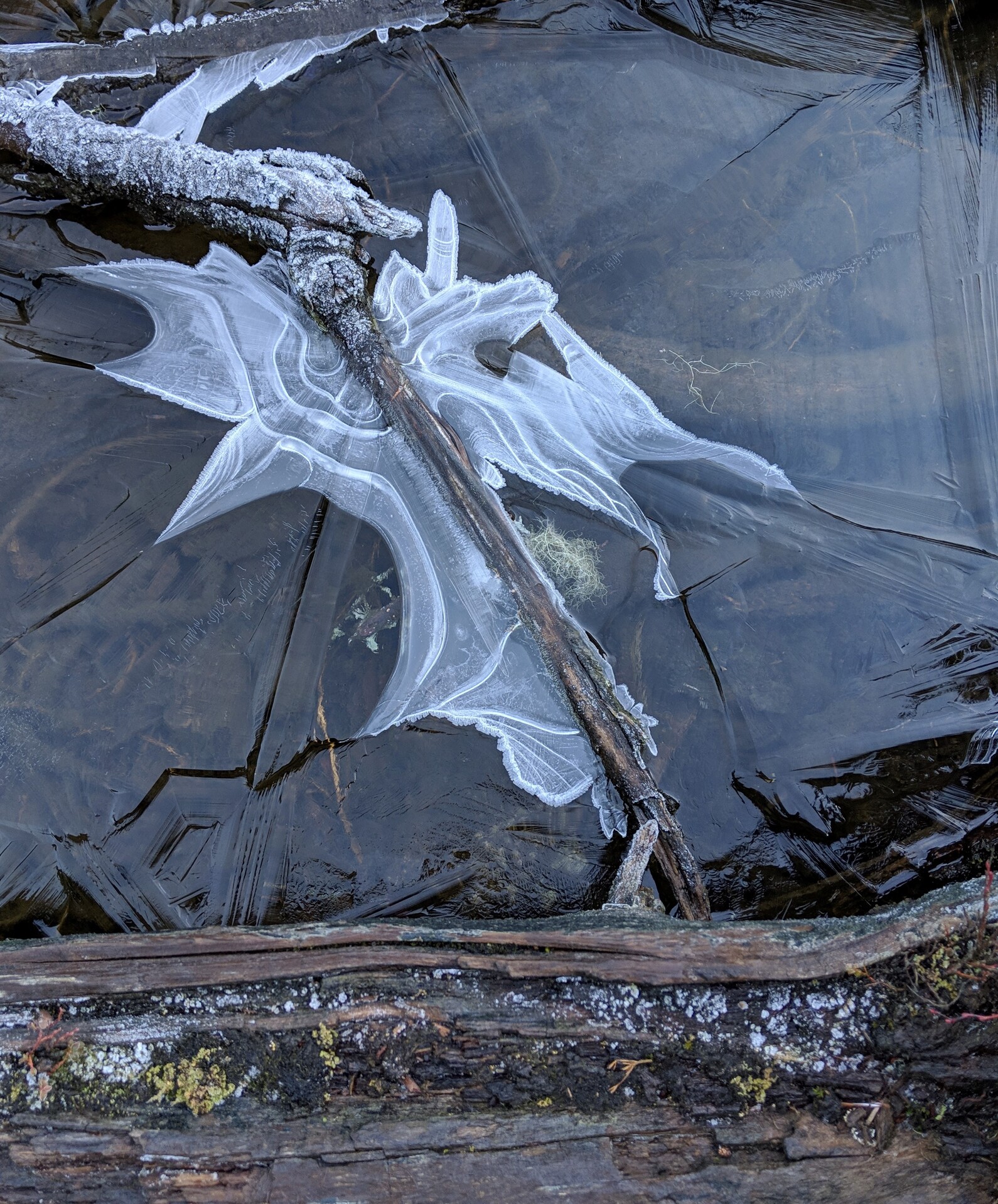 The Poetry of Water: A Virtual Juried Photo Exhibit - Photo Art Pavilion