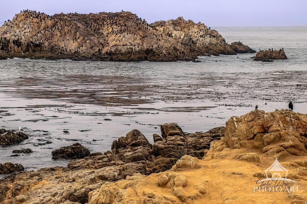 Bird Rock at Monterey Peninsula, CA Photo Art Pavilion