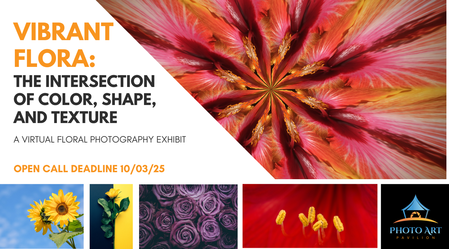 Open Call - Vibrant Flora Virtual Juried Photography Exhibit