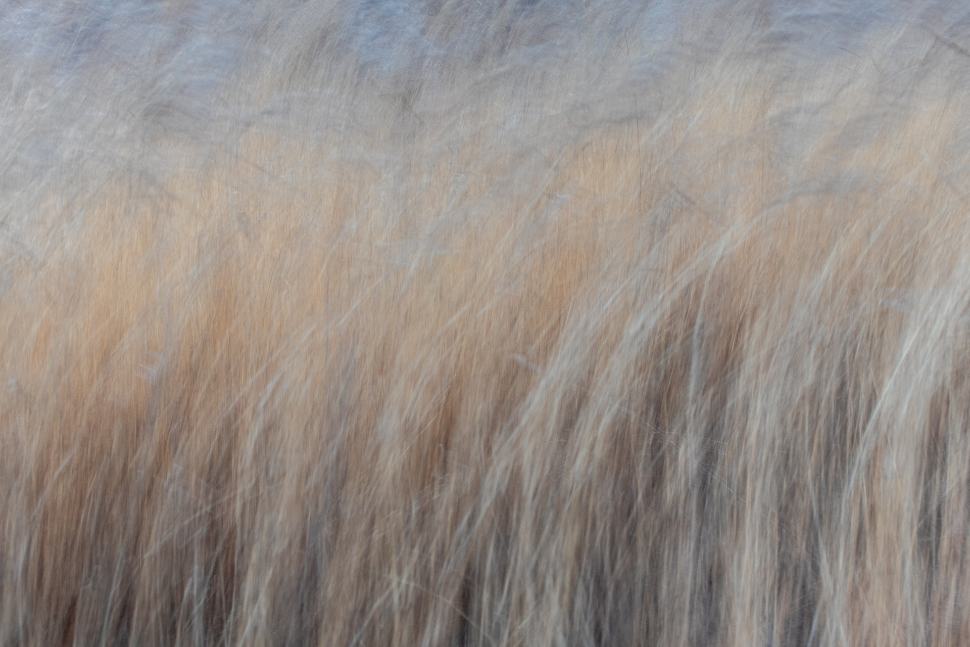 Through the Lens of Time: A Virtual Juried Photo Exhibit - Photo Art ...