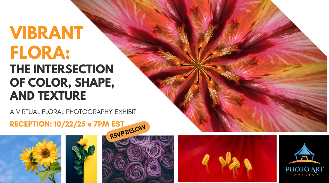 Current Exhibit | Photo Art Pavilion