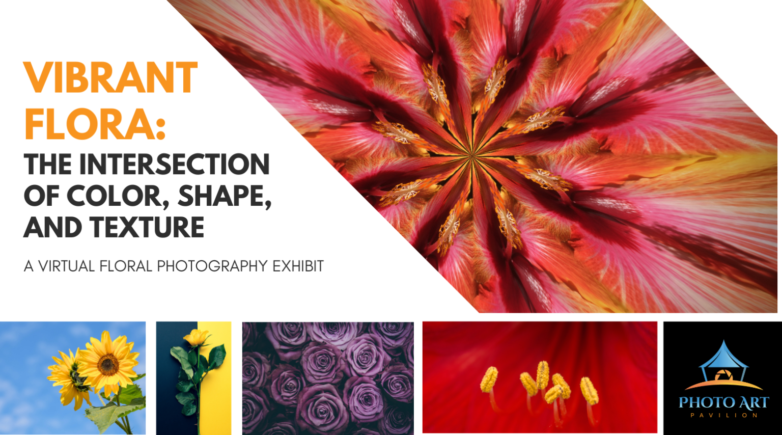 Current Exhibit | Photo Art Pavilion
