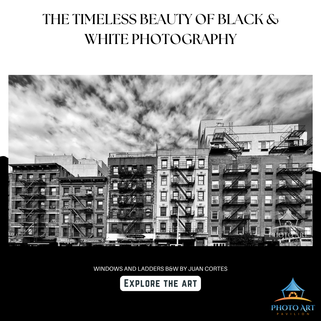 The Timeless Beauty of Black & White Photography - Photo Art Pavilion