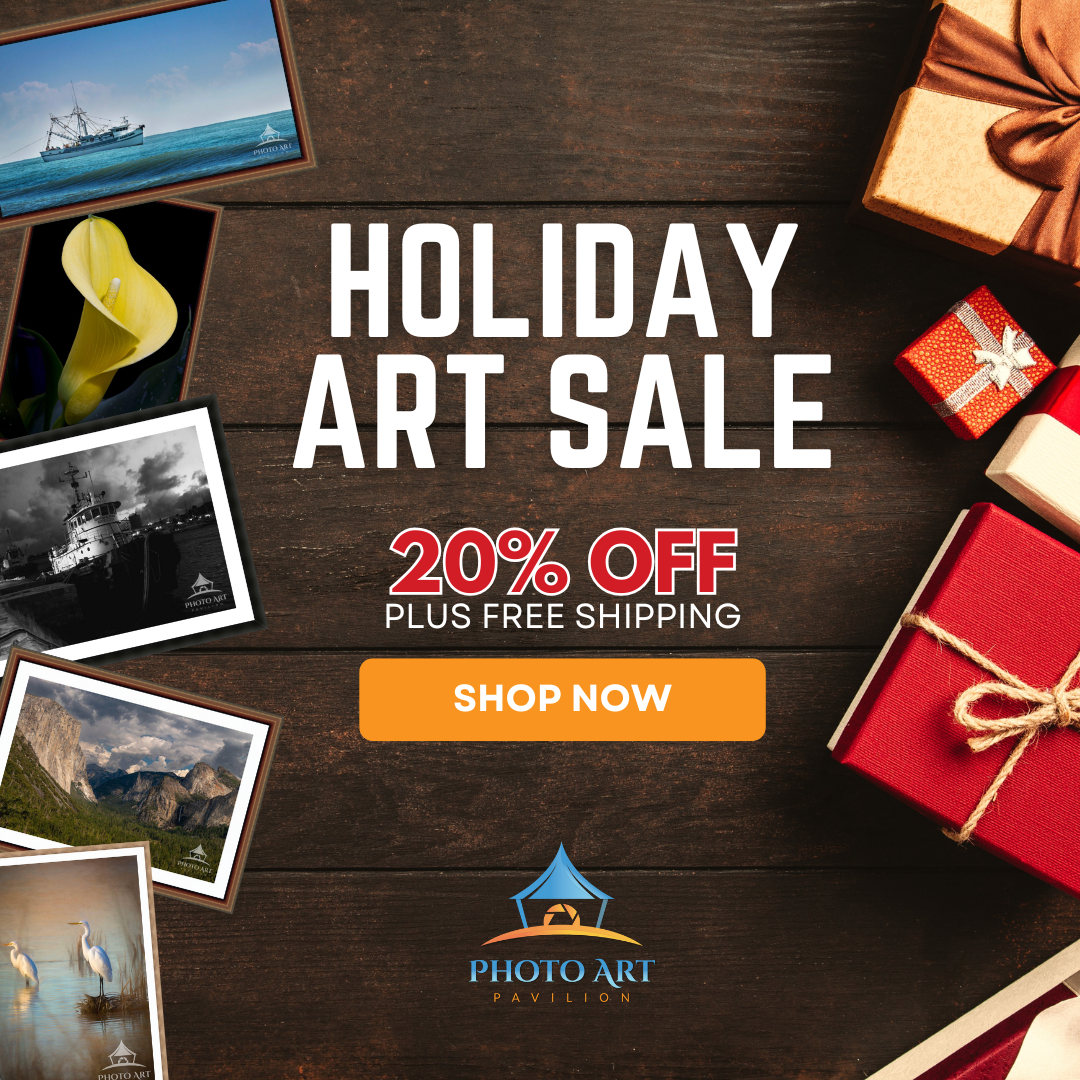 Still Time to Gift Art - Photo Art Pavilion