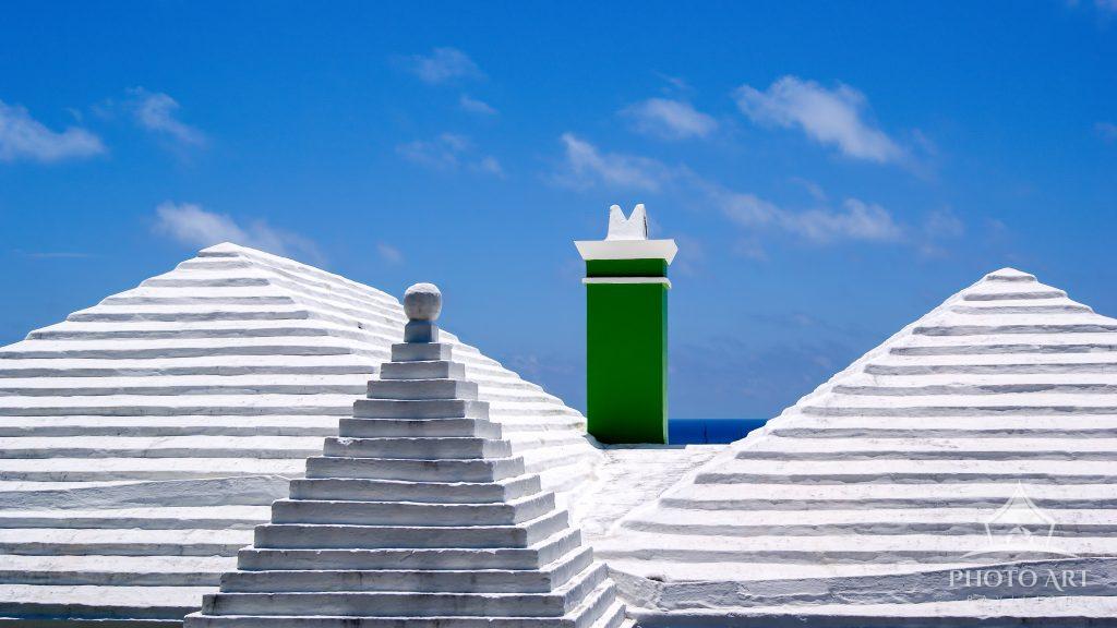 Green on white roof Photo Art Pavilion